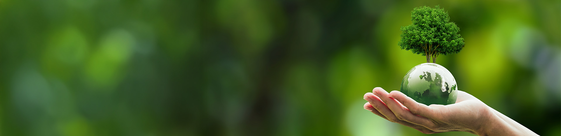 Environmental Impact Assessments | Land Surveyor & Geological Service